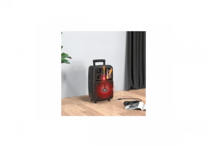 hoco. Bežični zvučnik sa mikrofonom, Bluetooth, FM,USB,AUX - BS37 Dancer | Frog