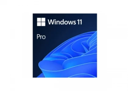 Microsoft Windows 11 Professional 64Bit Eng Intl 1pk DSP OEI DVD (22H2 ...