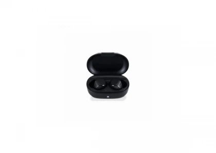 PANASONIC slušalice RZ-B120WDE-K crne, wireless,BT | Frog