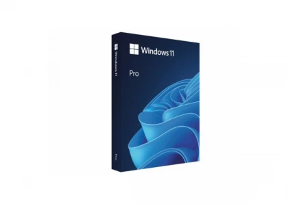 Microsoft FPP Win 11 Pro 64bit ENG, HAV-00164 | Frog