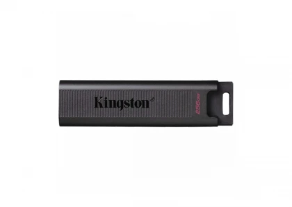 USB Flash Kingston 256GB DataTraveler Max USB3.2, DTMAX/256GB | Frog